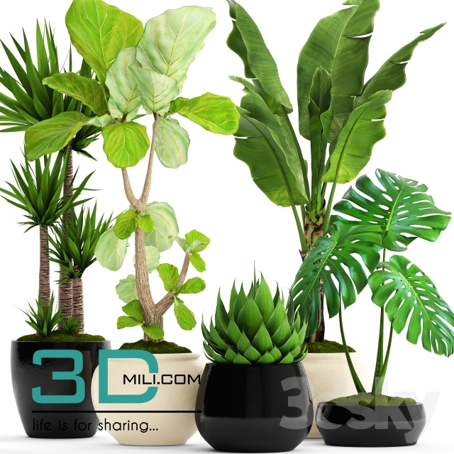 224. Plant 224 3dsmax Model Free Download - 3DMili 2025 Download 3D Model - Free 3D Models - 3D ...